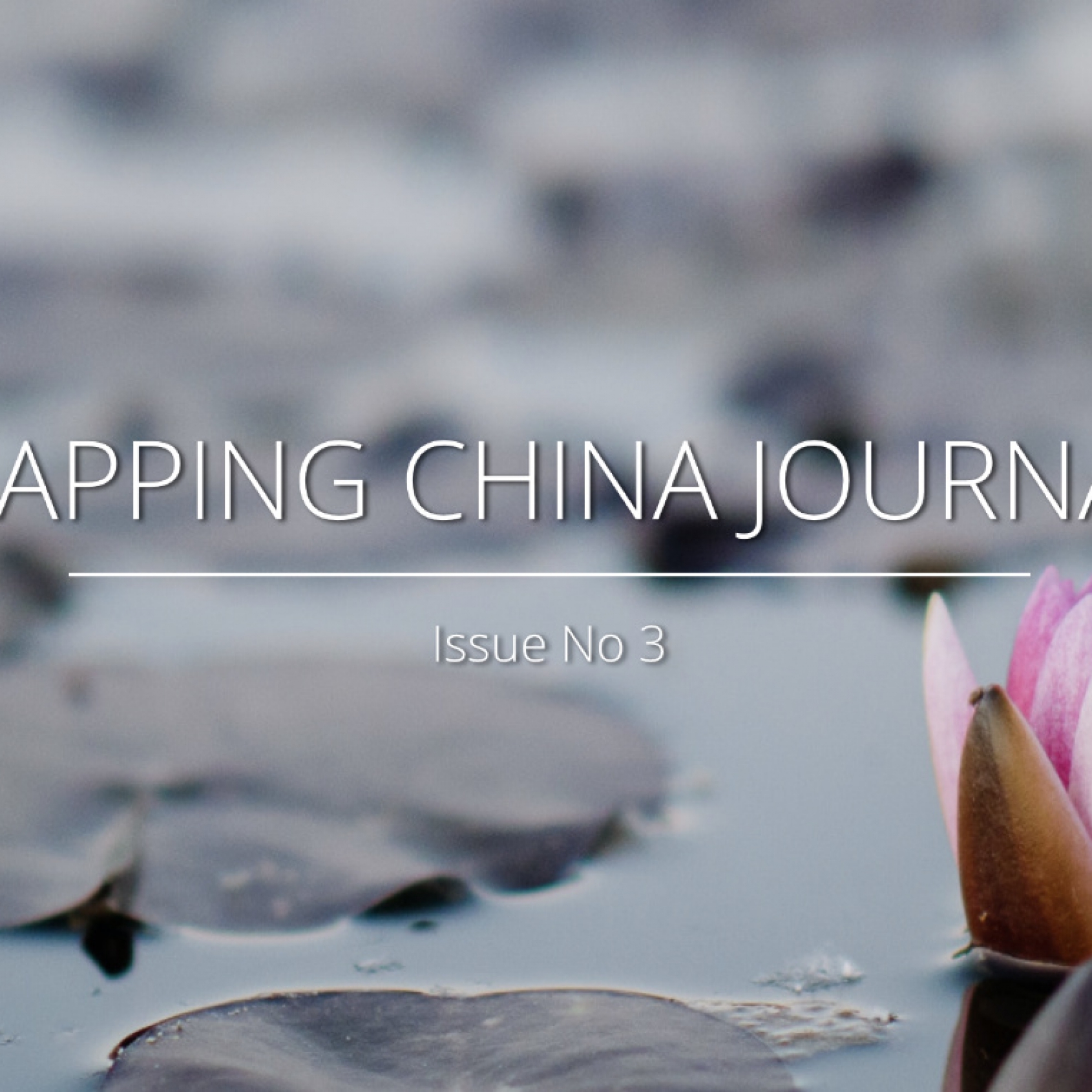 articles - Mapping China